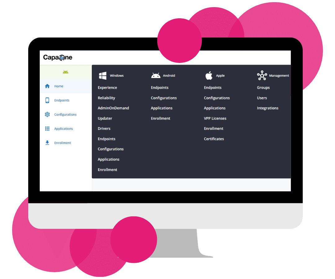 CapaOne | IT task in the cloud